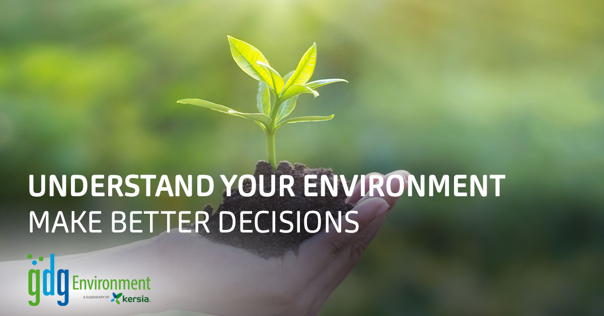 GDG | My environment